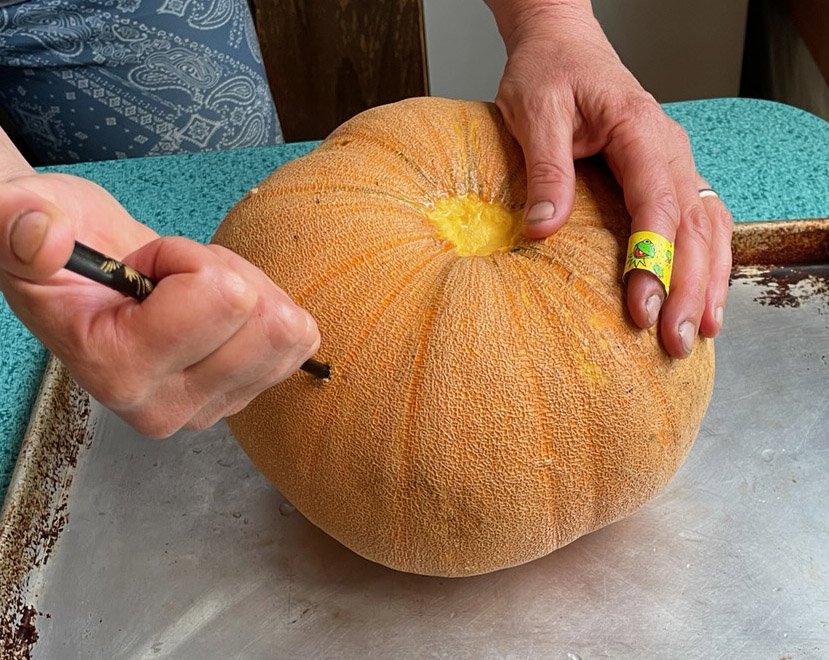 Events at The Farm on 41st Street — CSA & Farm Stand in Anacortes