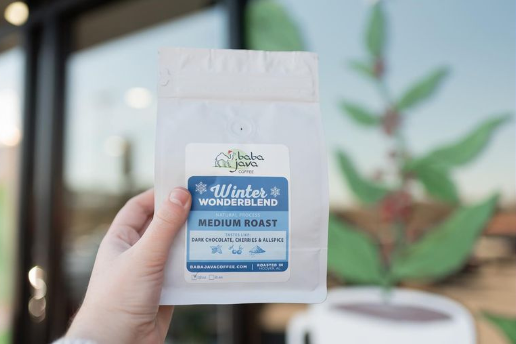 The Ultimate Holiday Gift Guide for Your Favorite Coffee Lovers — Baba ...