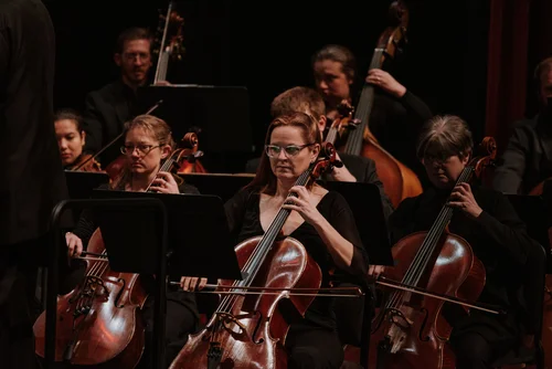 Instruments of the Orchestra — Greeley Philharmonic Orchestra