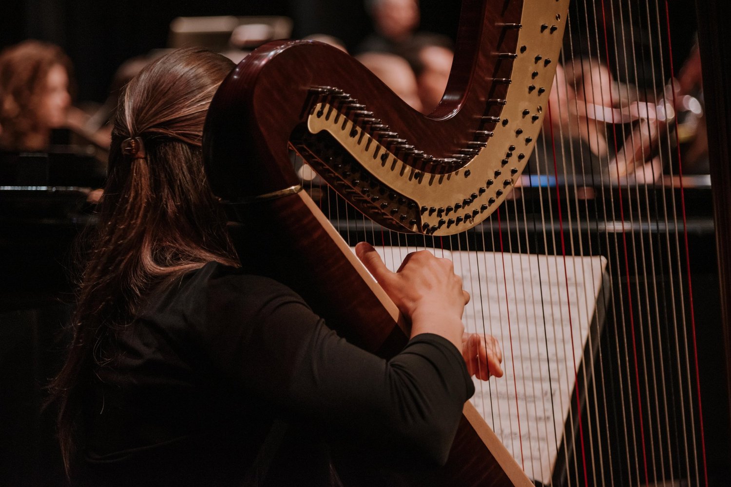 Instruments of the Orchestra — Greeley Philharmonic Orchestra