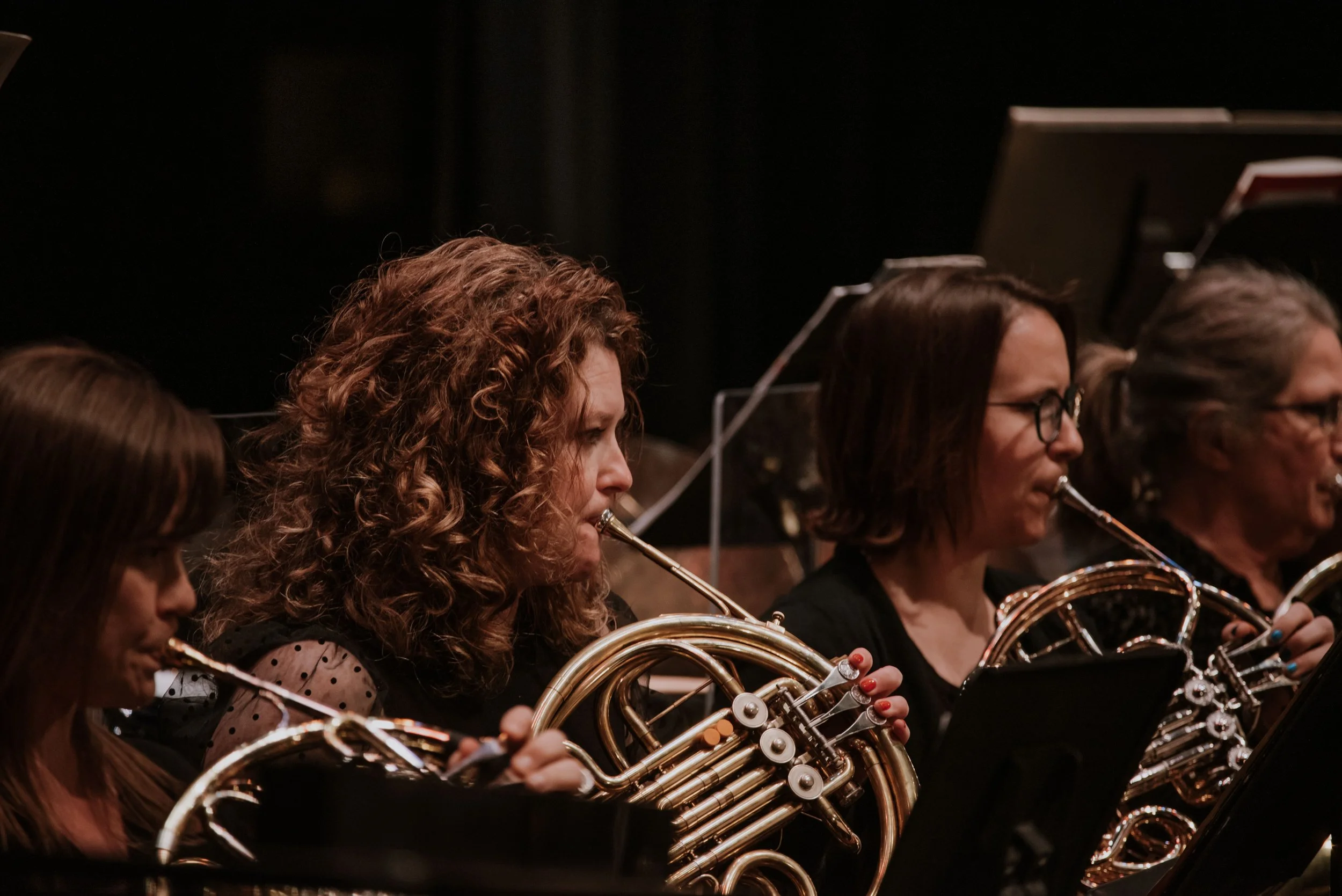 Instruments of the Orchestra — Greeley Philharmonic Orchestra