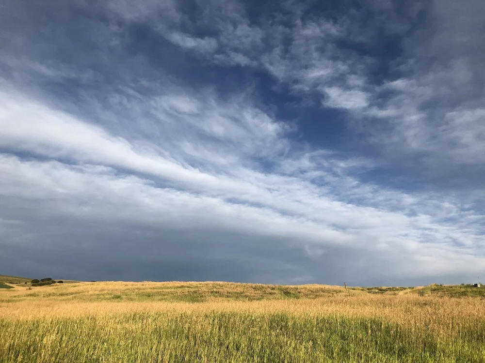 About A Rainbow a Day • Alex's Wellness Story