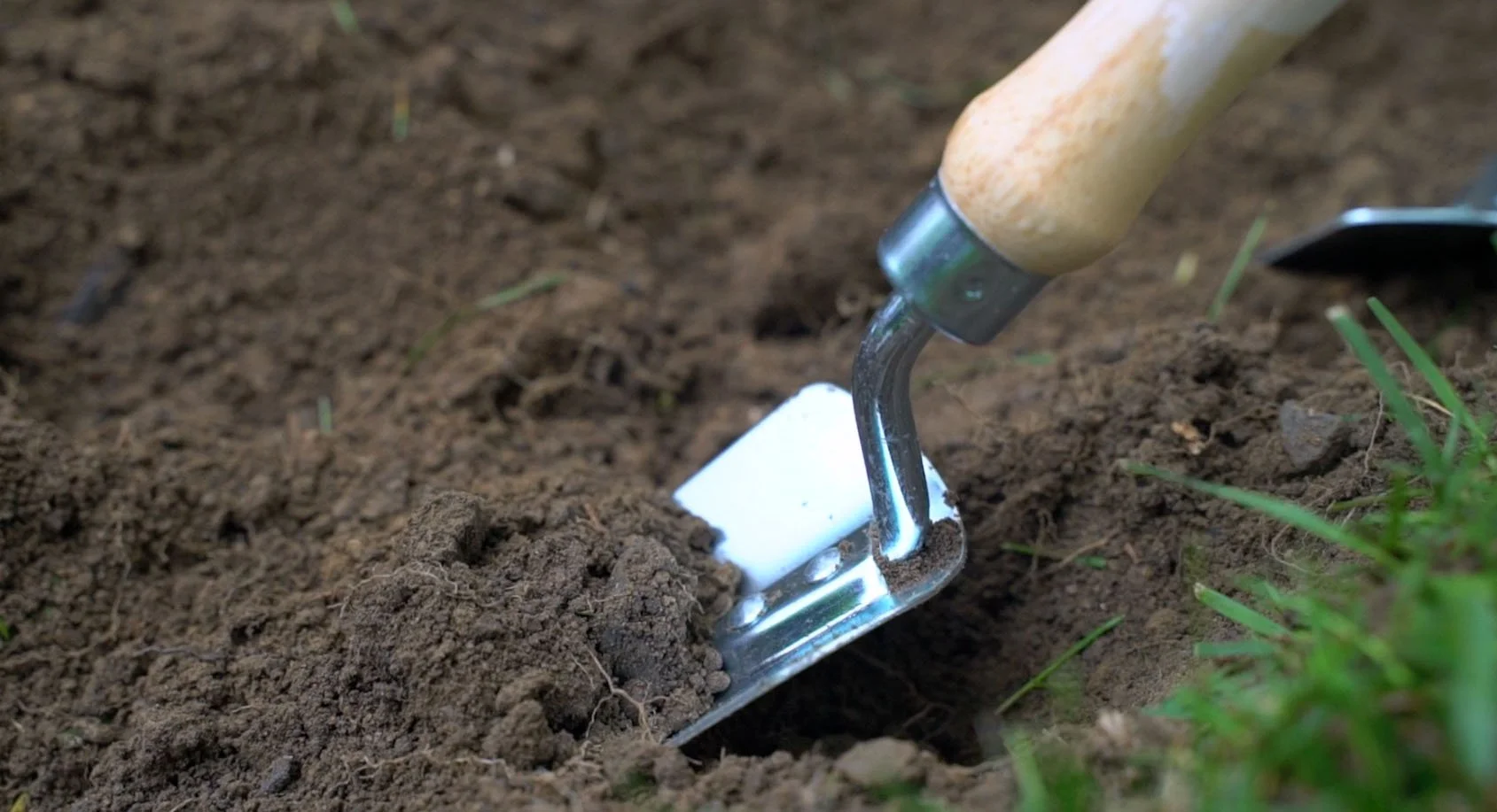 Get On The Bus — Chesapeake Heartland