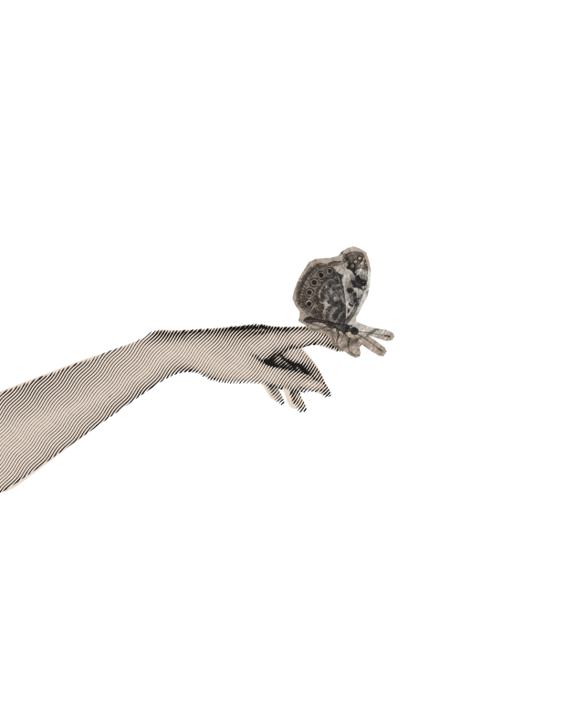 The Good Space - Francesca Phillips