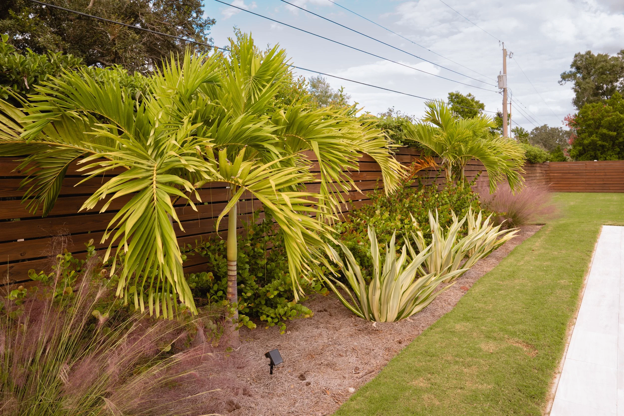 Minimalist Modern- modern landscaping with native plants — Giving Tree ...