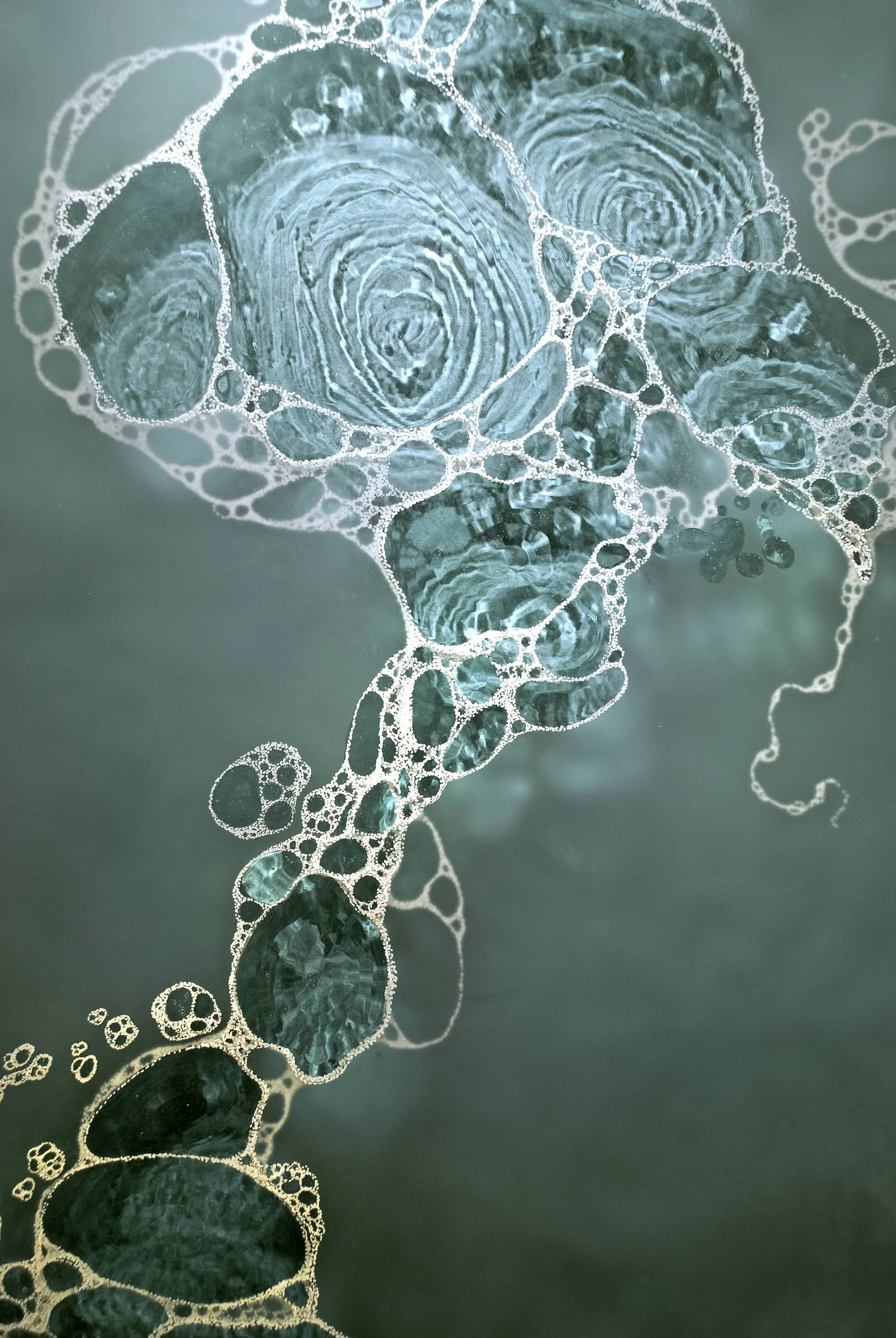 Carla Goldberg : The Layerist — Boynes Artist Award