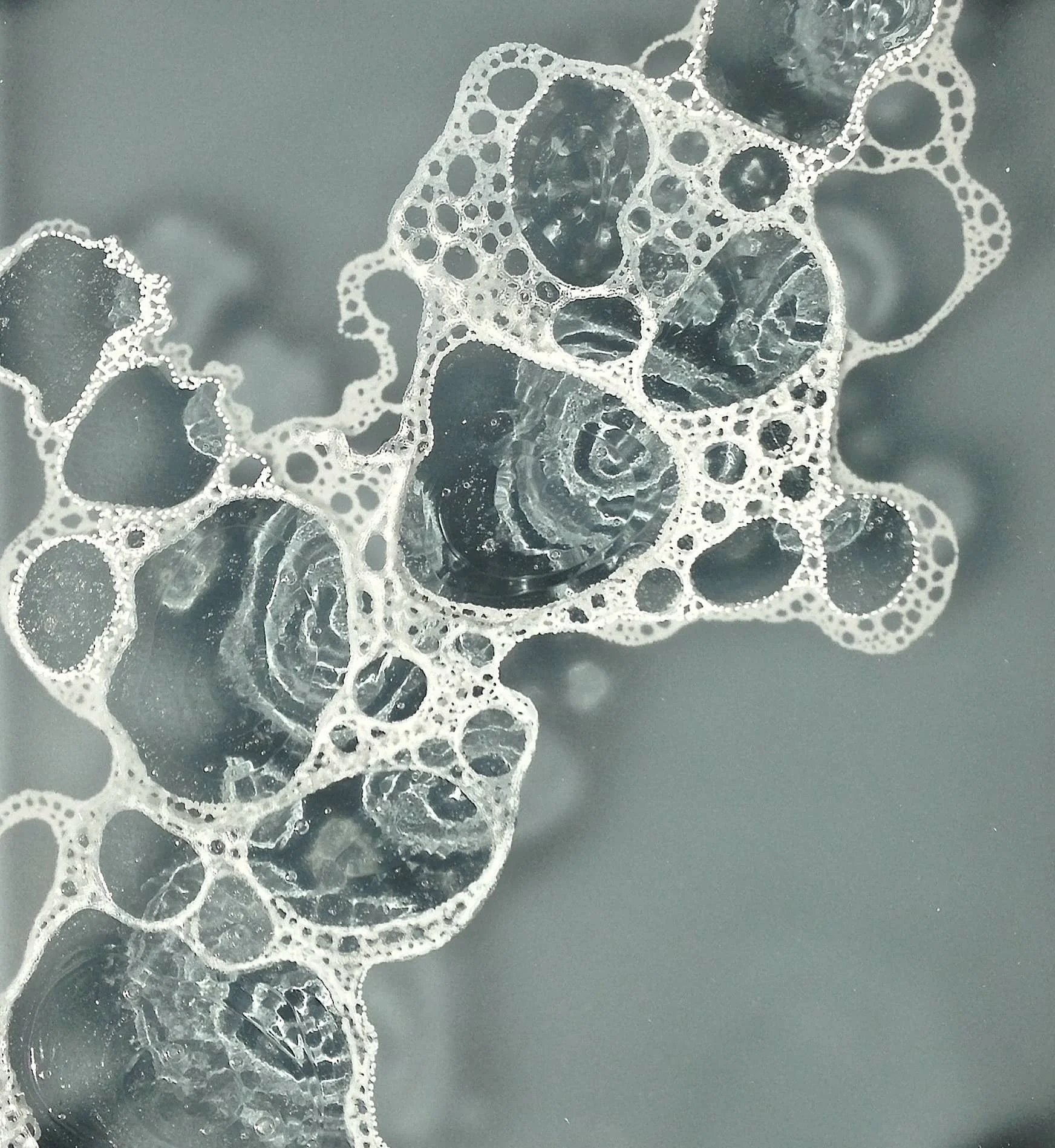 Carla Goldberg : The Layerist — Boynes Artist Award