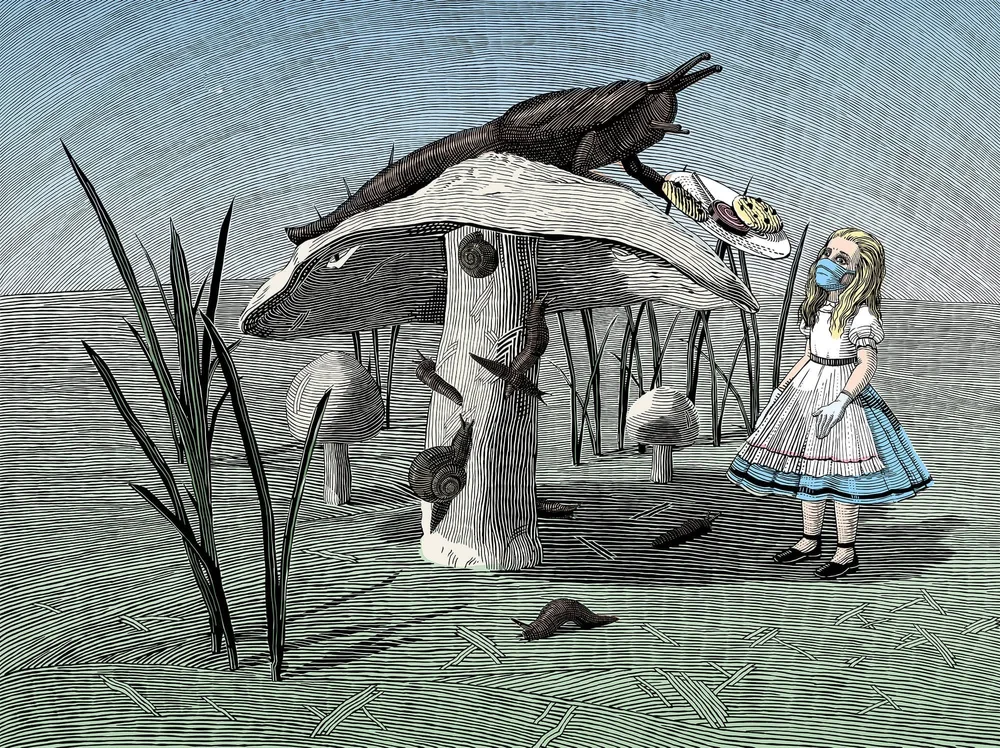 Interview with Artist Anna Zusman — Boynes Artist Award