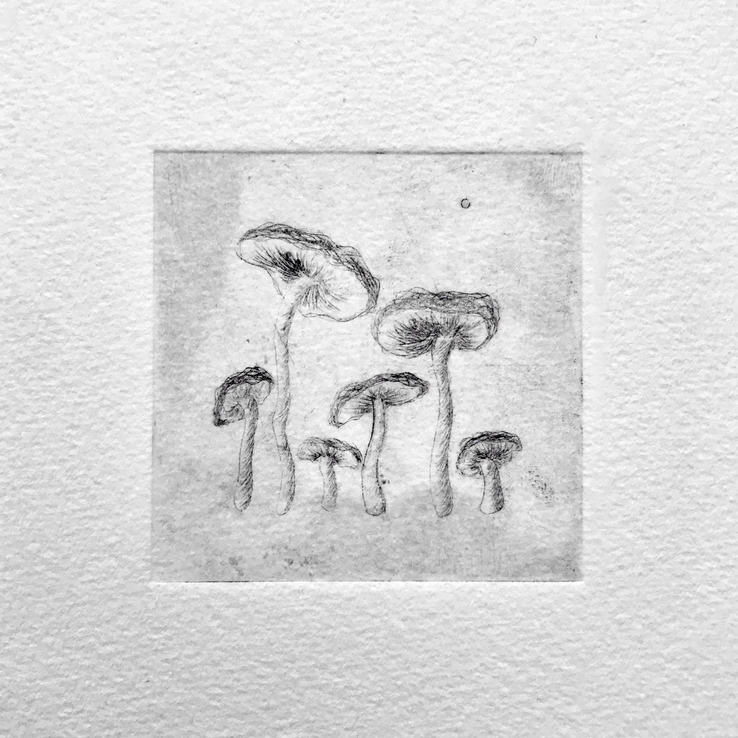 Artist Hallie Banner — Boynes Artist Award