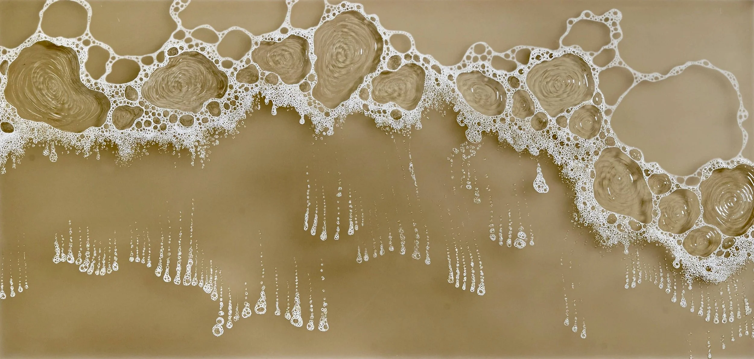 Carla Goldberg : The Layerist — Boynes Artist Award