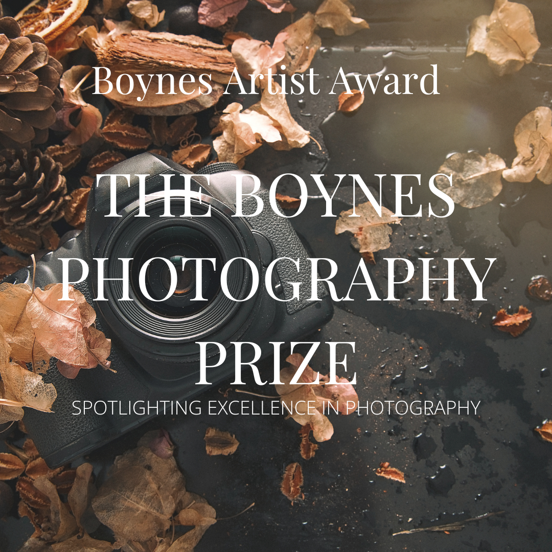 Boynes Artist Award - International Art Competition for All Artists