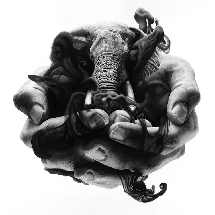 Jono Dry - Artist Interview with Chantal Boynes — Boynes Artist Award