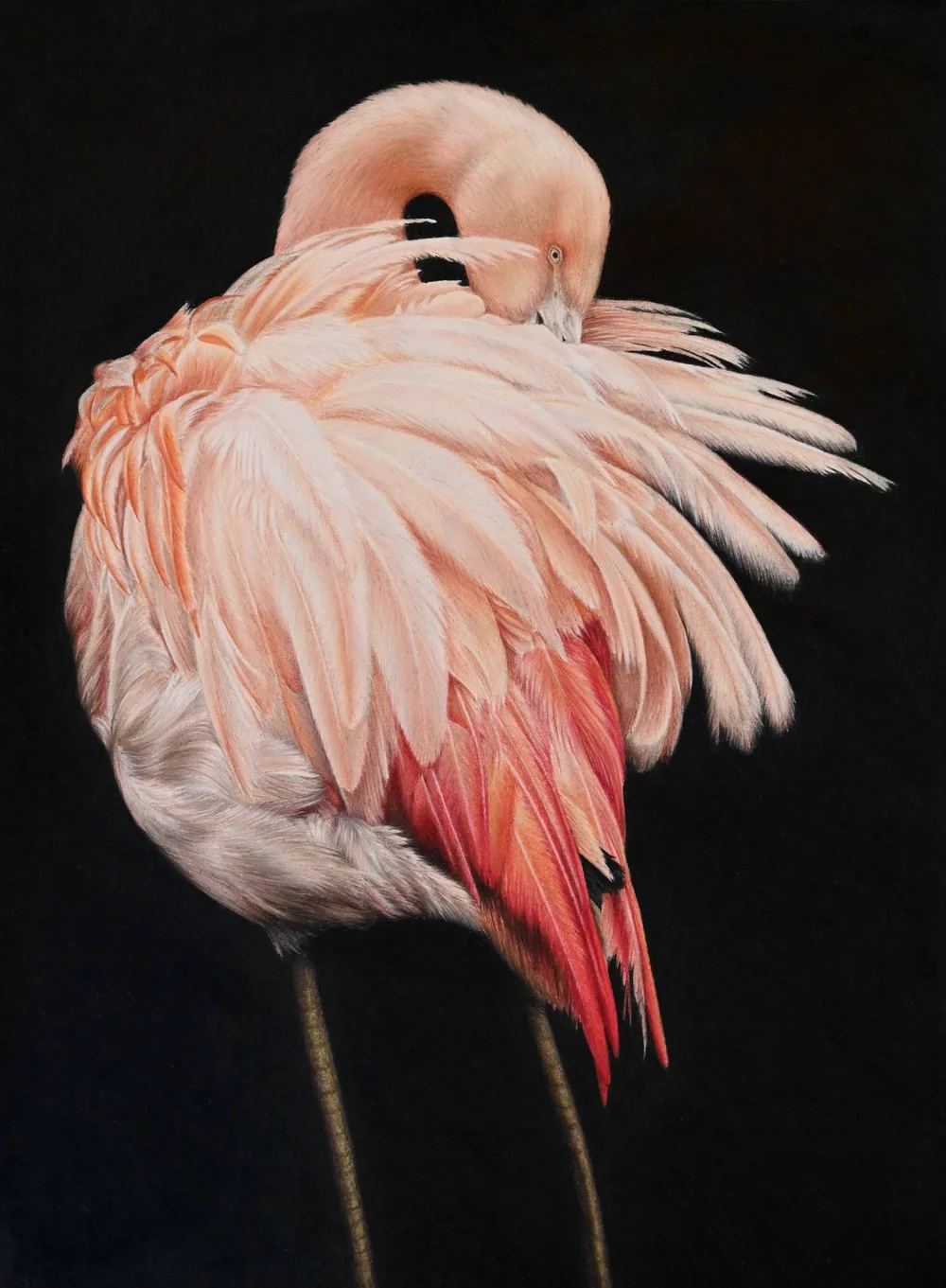 Artist Emma Wicks — Boynes Artist Award