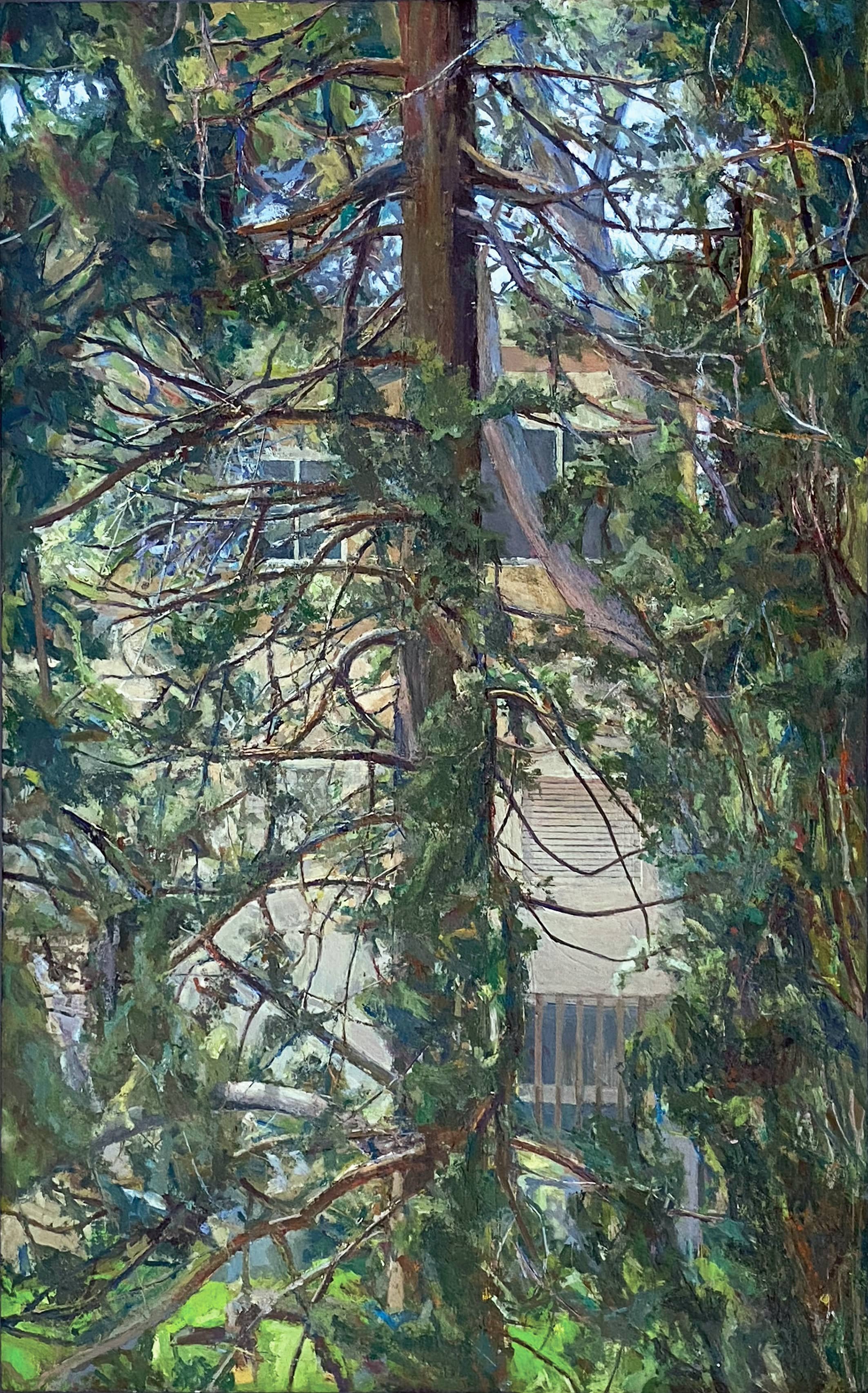 Artist Aviv Keller — Boynes Artist Award