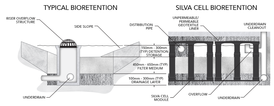 Modelling the Silva Cell® for SuDS using Innovyze® MicroDrainage ...