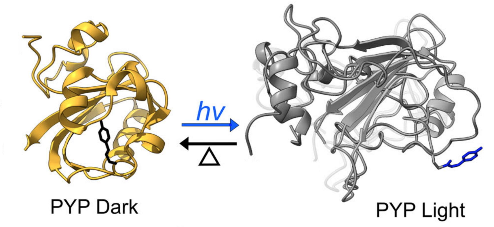 Protein Engineering — Andrew Woolley Lab