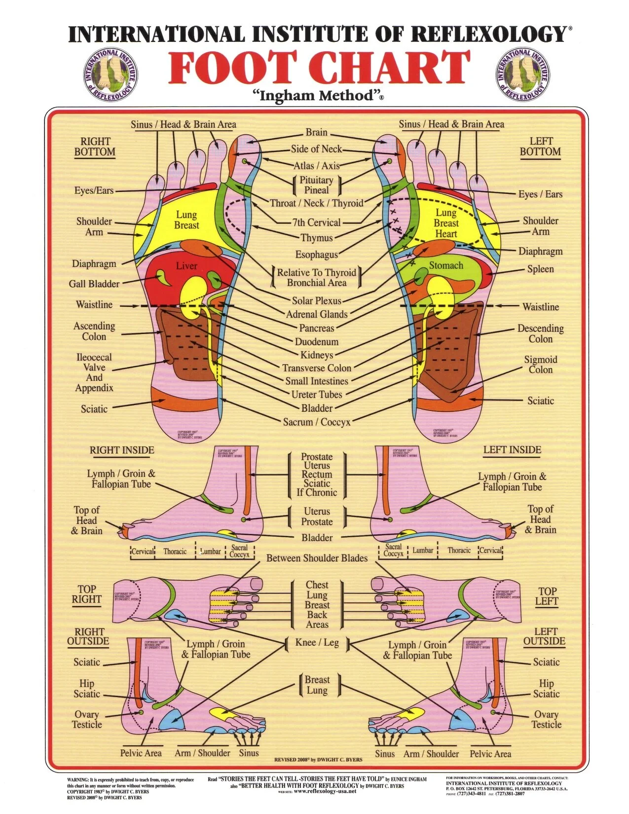 Reflexology — Empowered By Nature