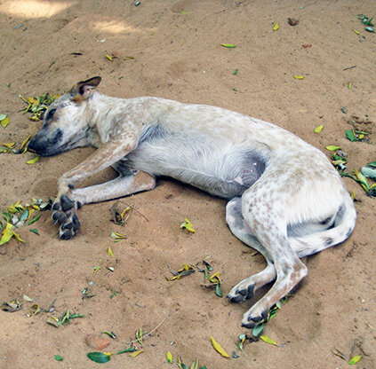 Sculpture — David Packer - artist