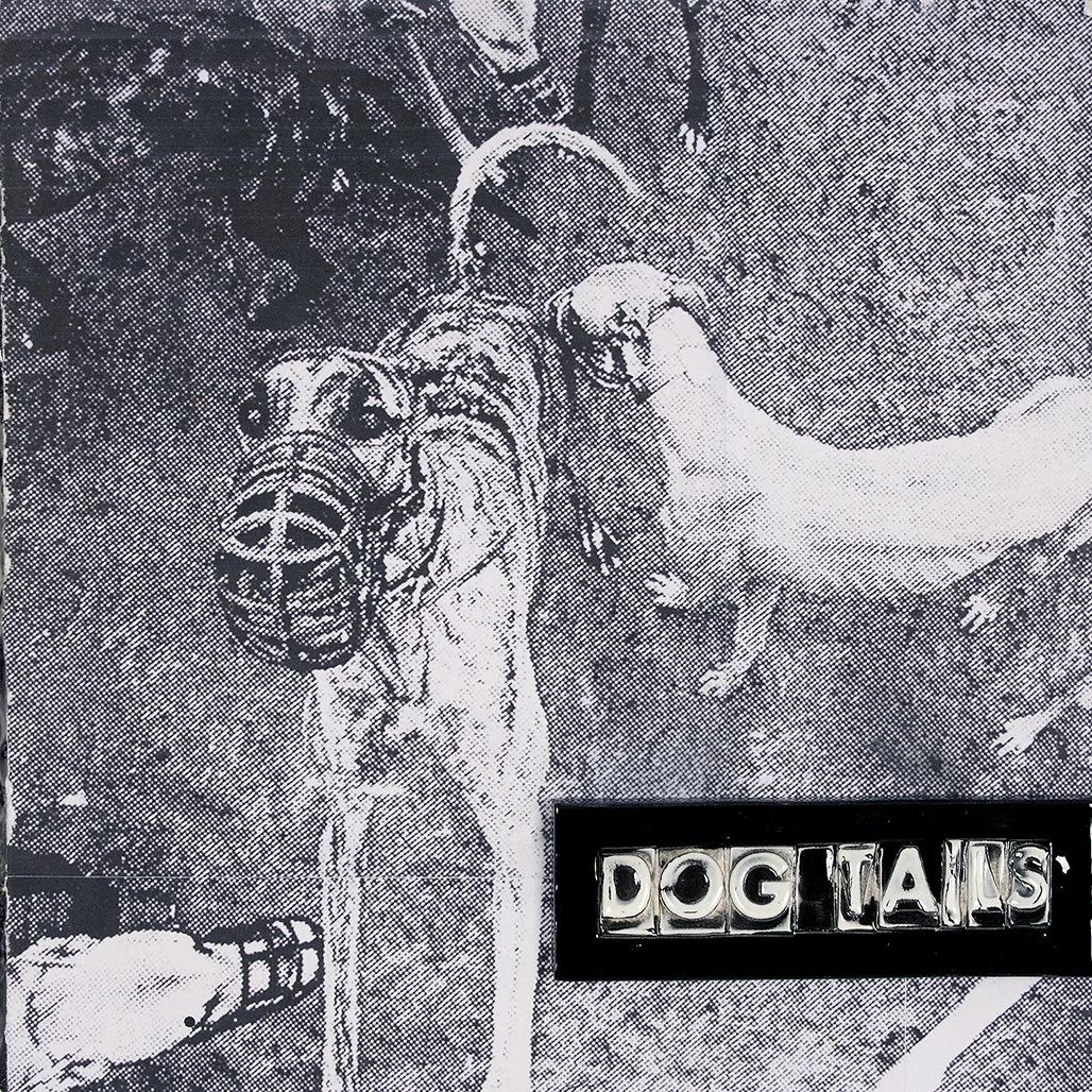 Sculpture — David Packer - artist