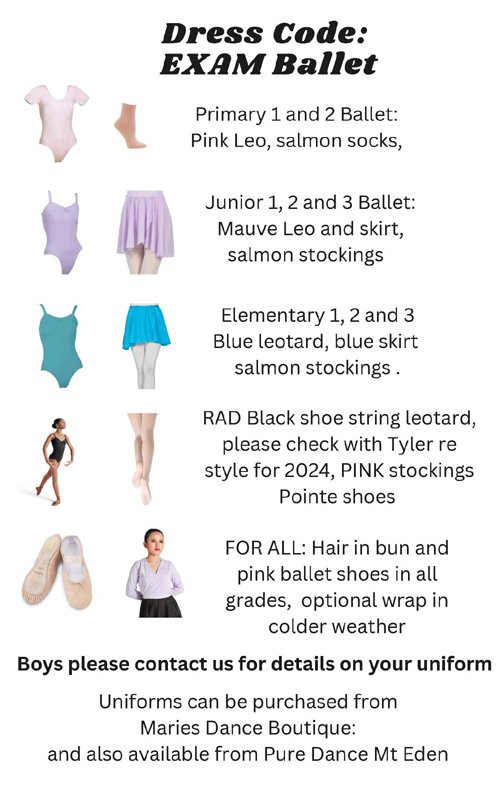 Clothing — Studio 246