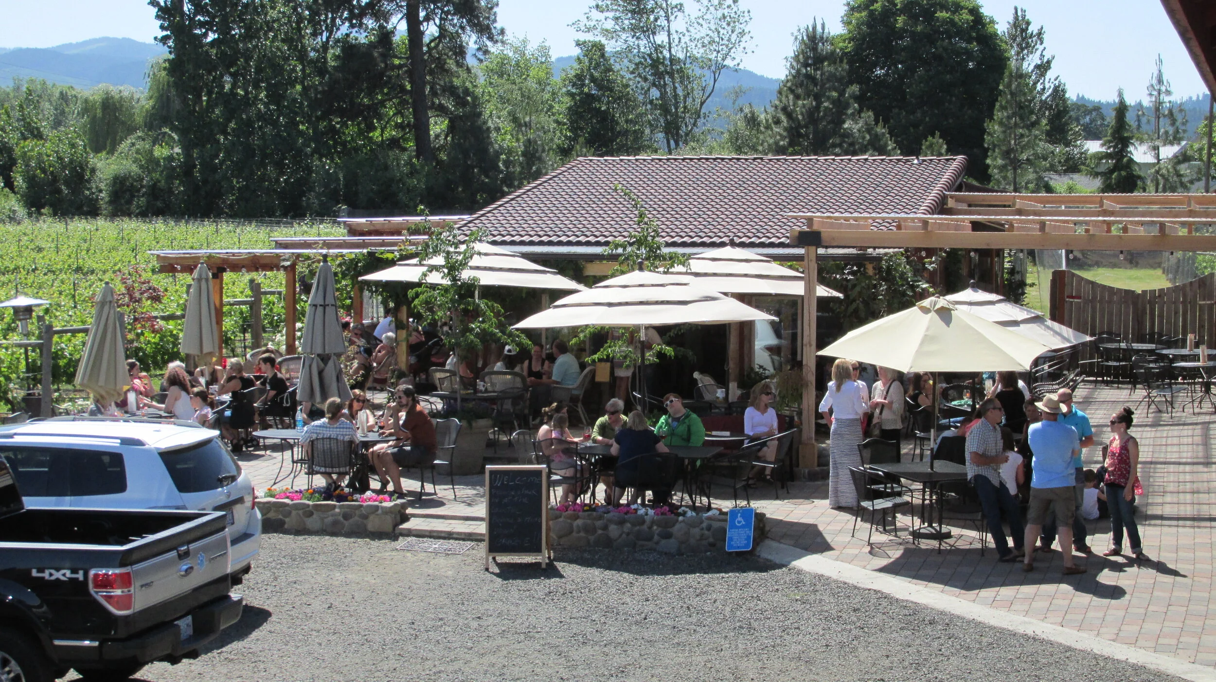 Gallery — Marchesi Vineyards