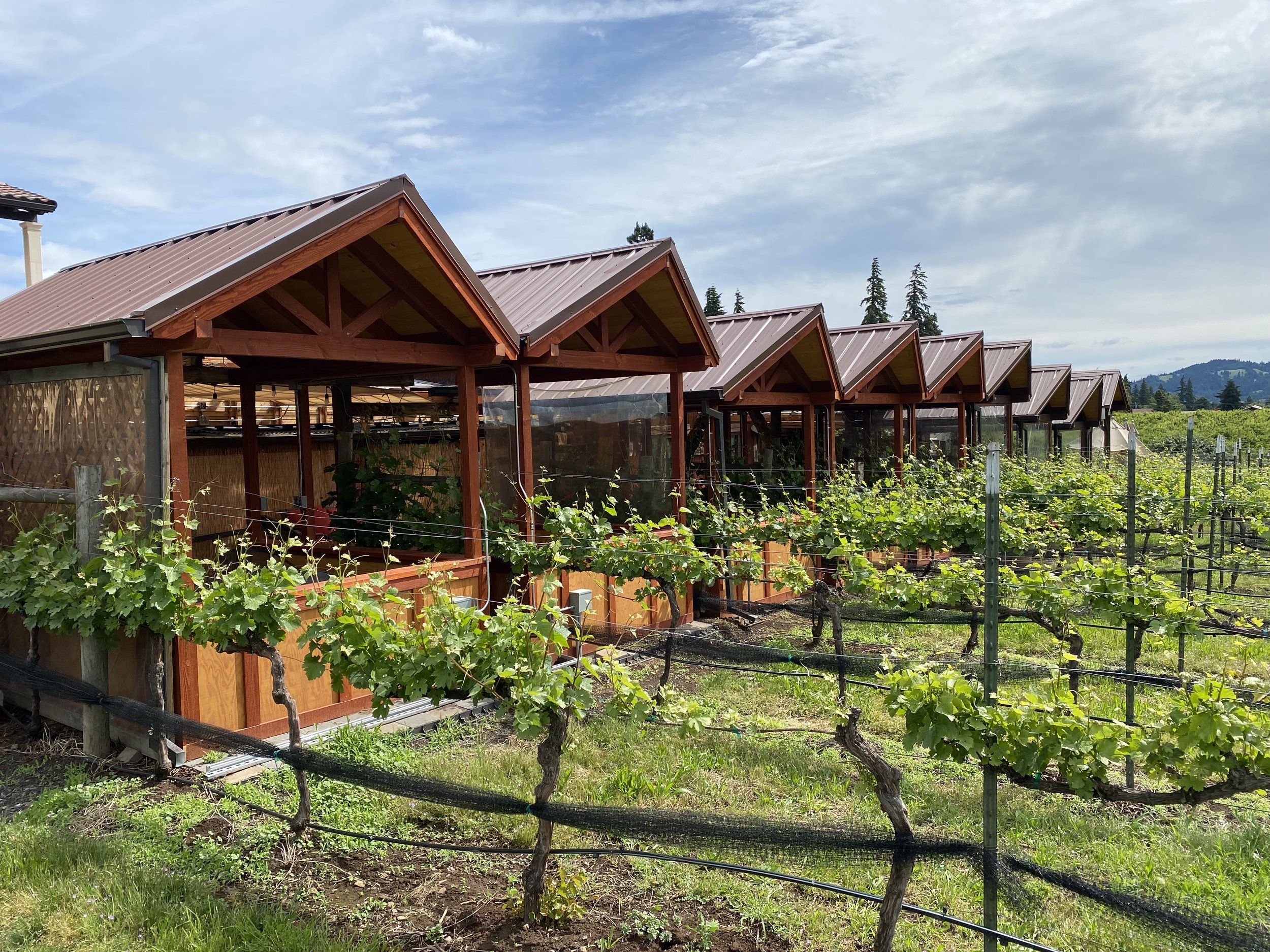Tasting Room — Marchesi Vineyards