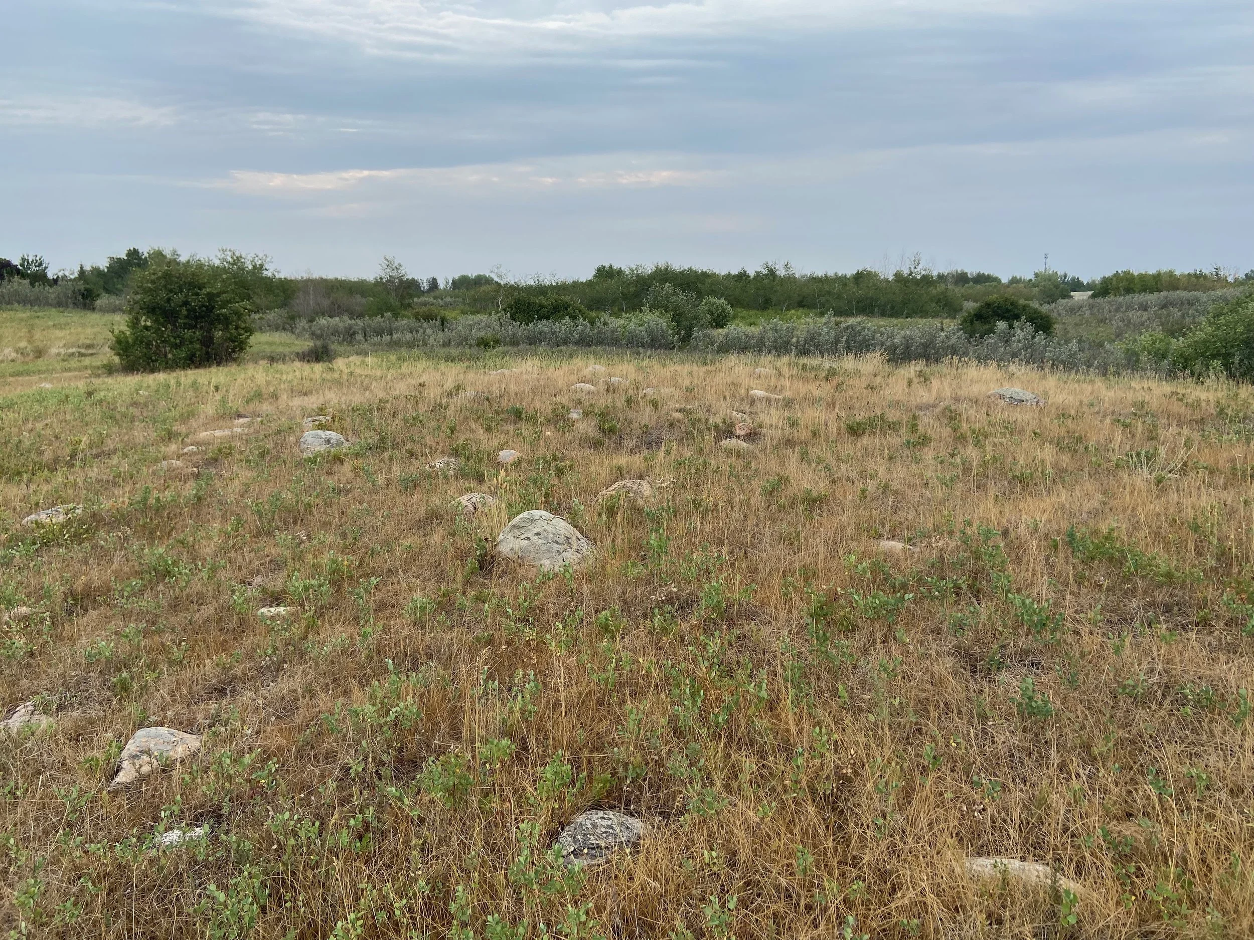 Jane's Walk 2023 — Saskatoon Natural Grasslands