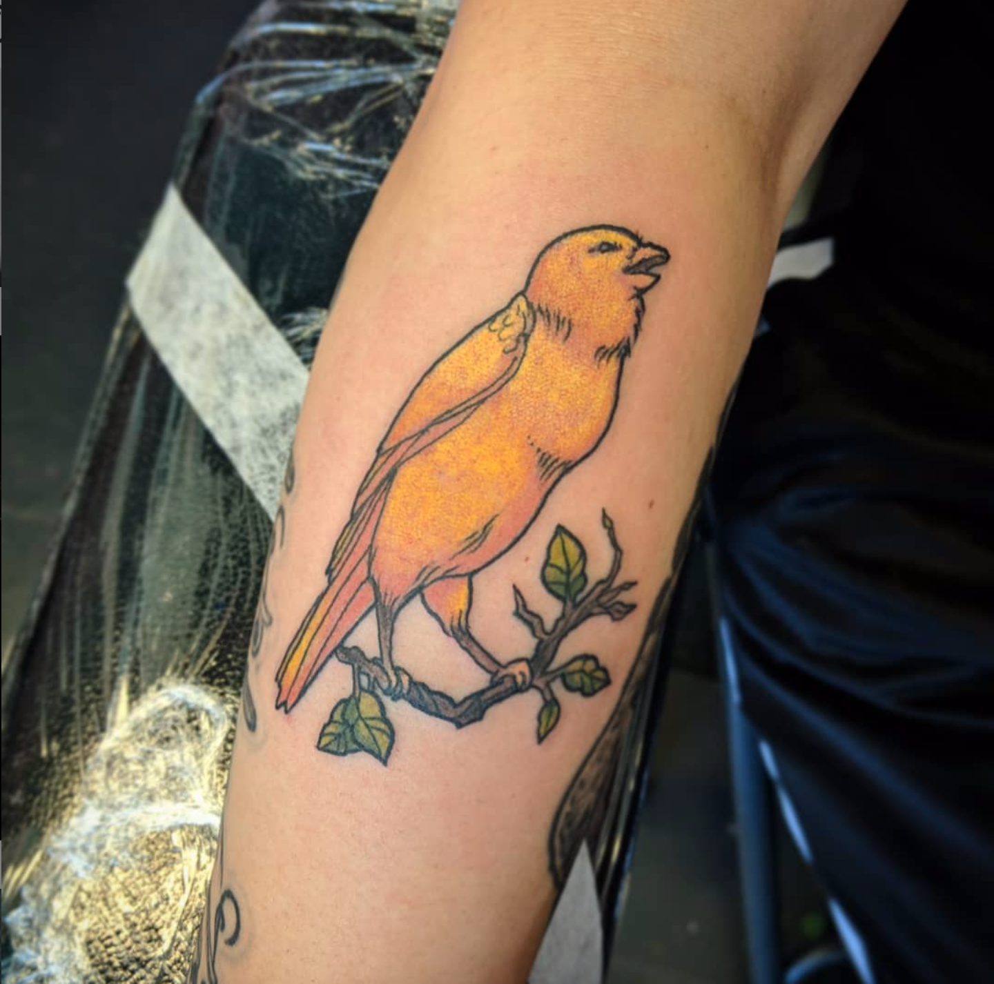 Pretty In Ink: Electric Tattooing