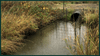 Beaver Culvert Protection Systems — Project Beaver