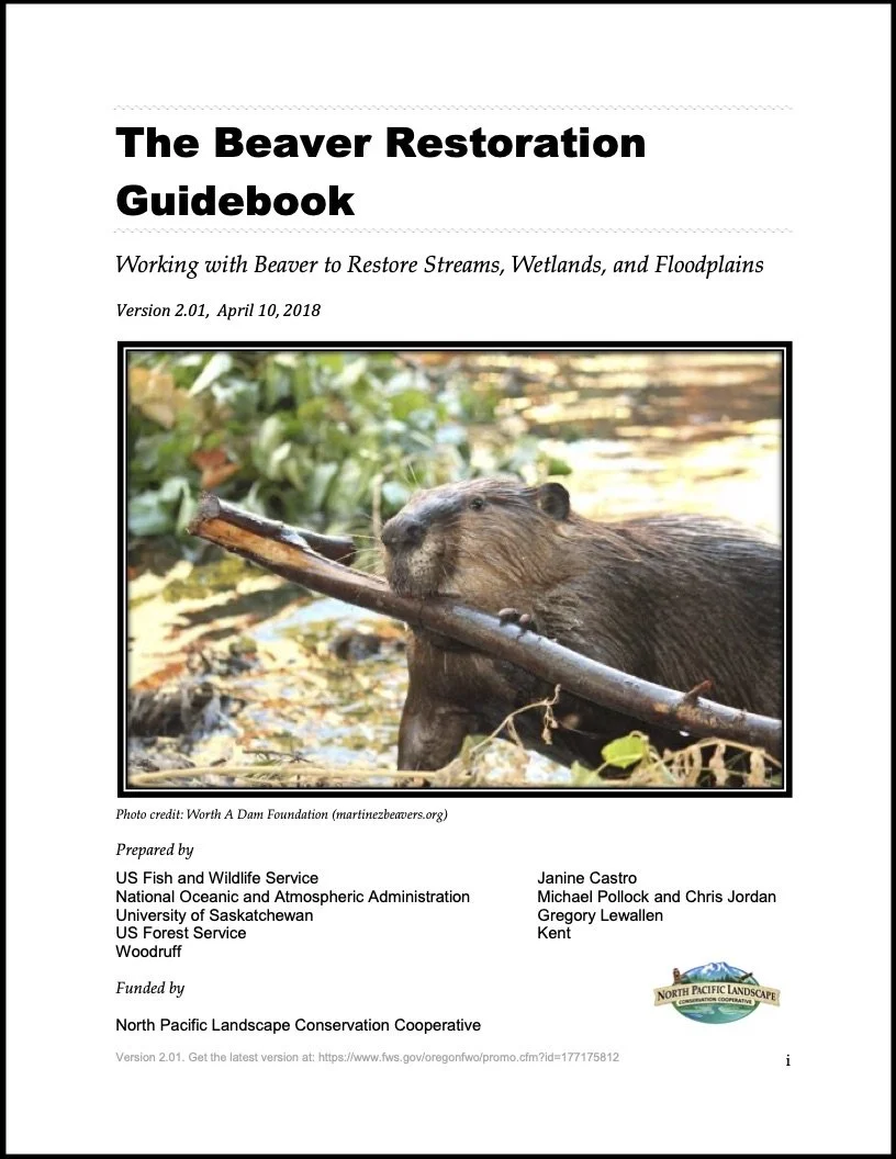 Resources for Working with Beavers — Project Beaver