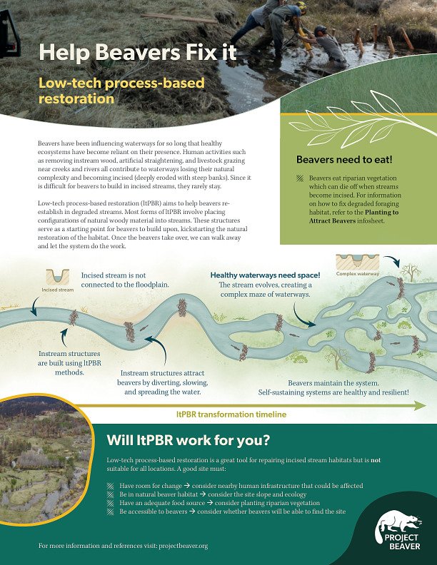 Help Beavers Fix It — Project Beaver