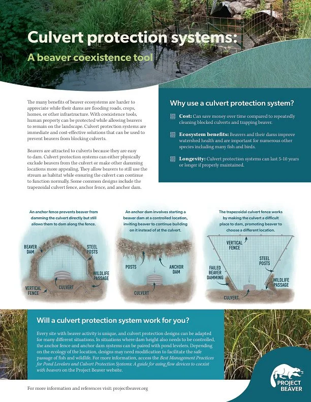 Resources for Working with Beavers — Project Beaver