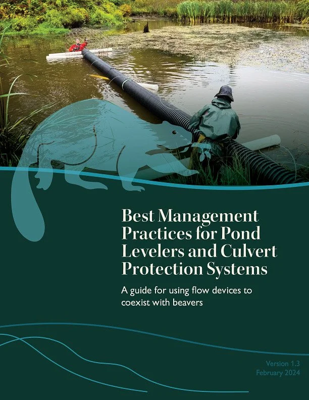 Resources for Working with Beavers — Project Beaver