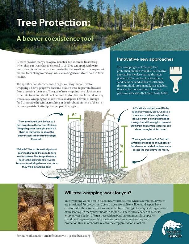 Resources for Working with Beavers — Project Beaver