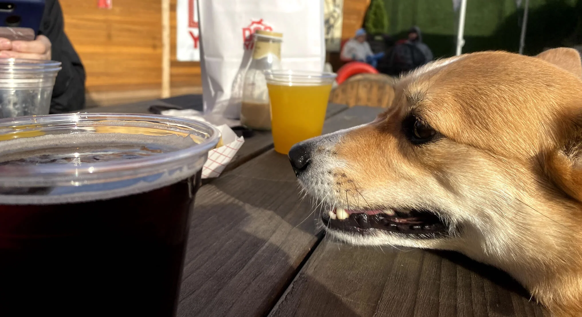 Dog Yard Bar - Ballard Dog Friendly Bar