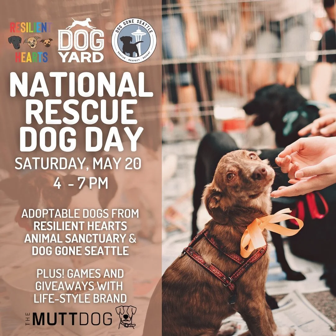 Dog Yard Bar - Ballard Dog Friendly Bar