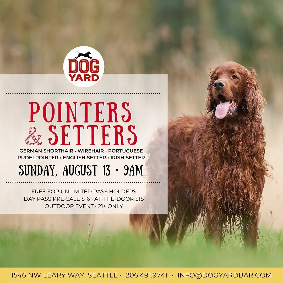 Dog Yard Bar - Ballard Dog Friendly Bar