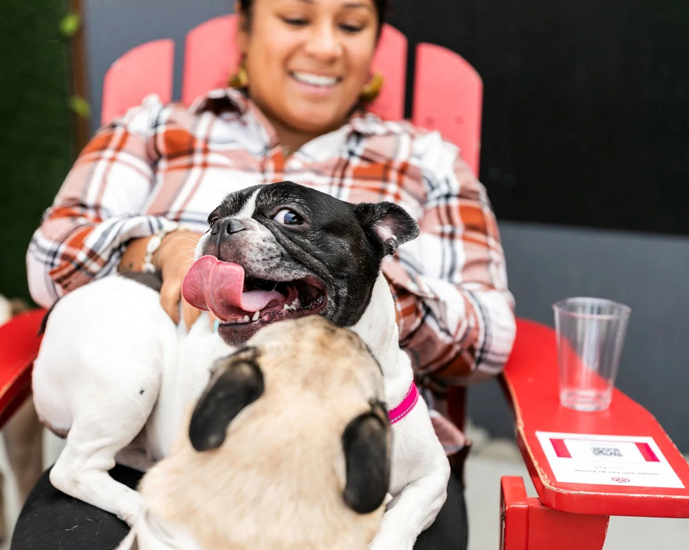 Dog Yard Bar - Ballard Dog Friendly Bar