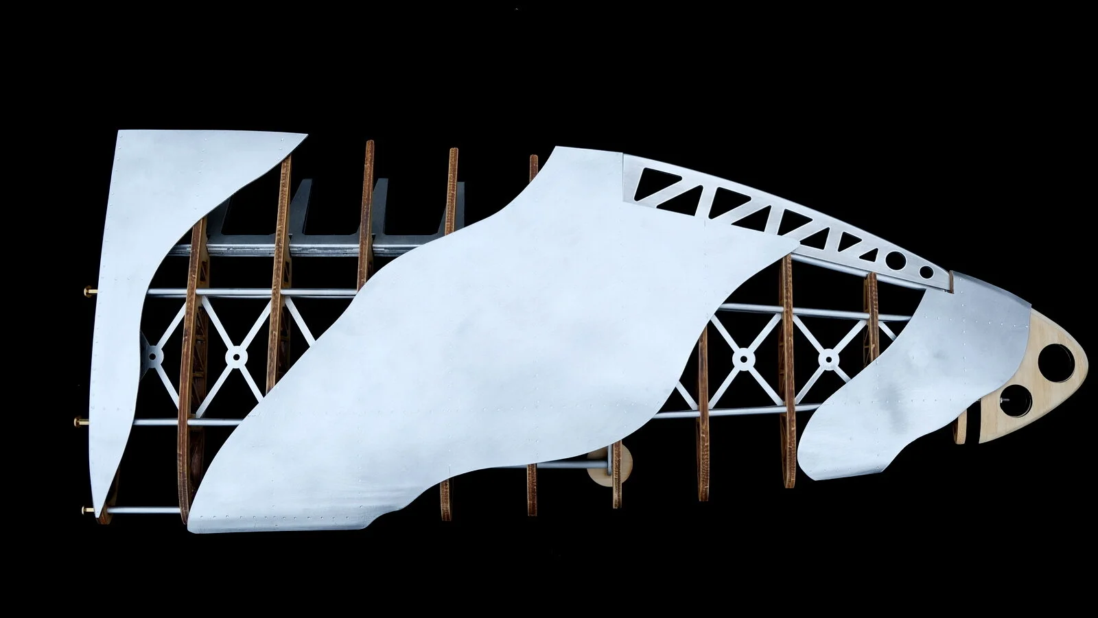 The BIG wing — GasGasBones.com