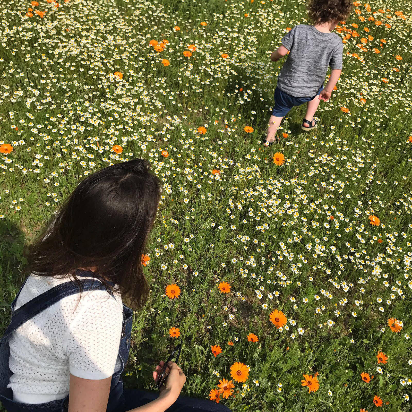 Happiest When I’m Happying — Reasons To Be Cheerful