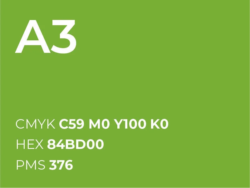 Colour — Hackney Design Studio