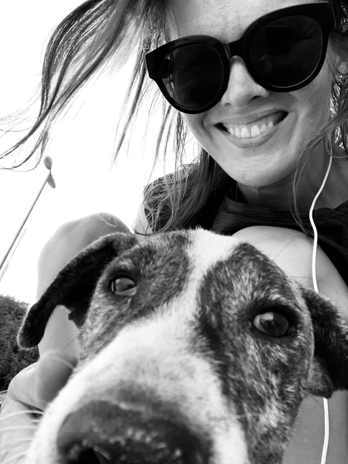 Advisory board — APAF