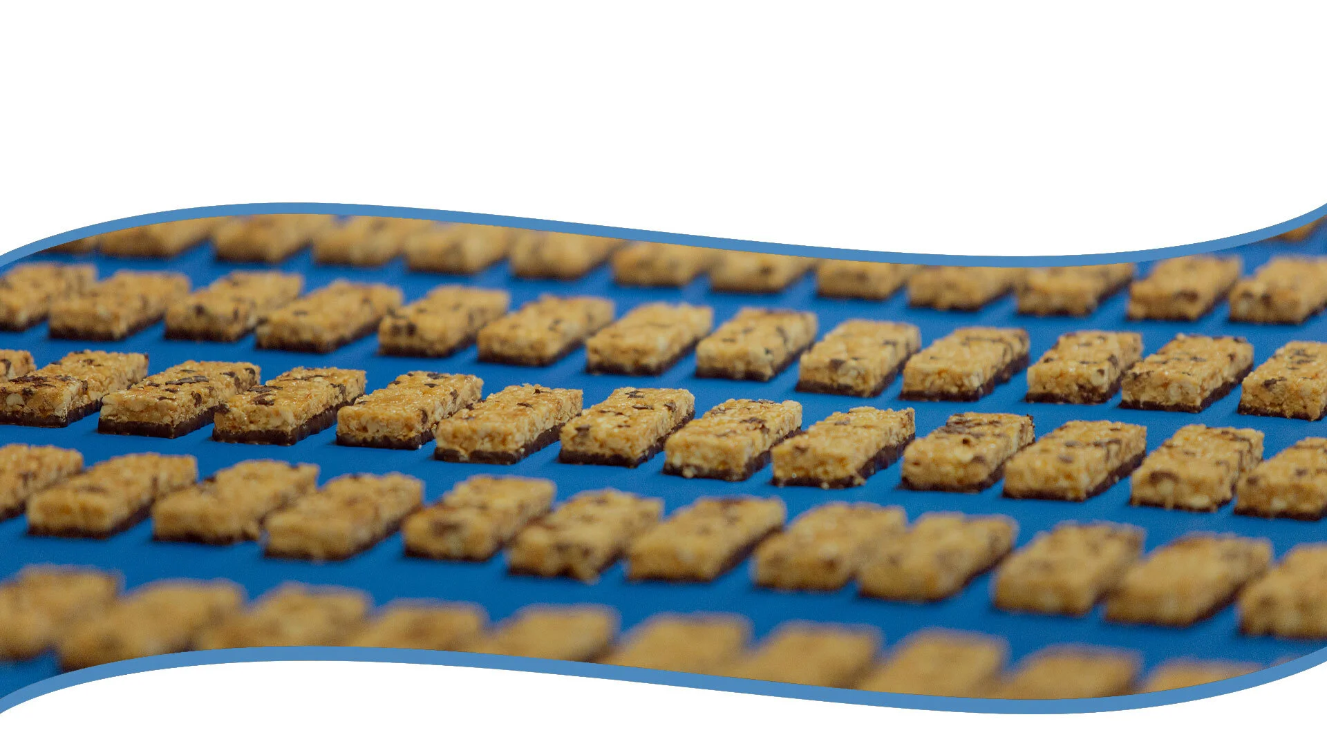 Schulze & Burch Biscuit Co.