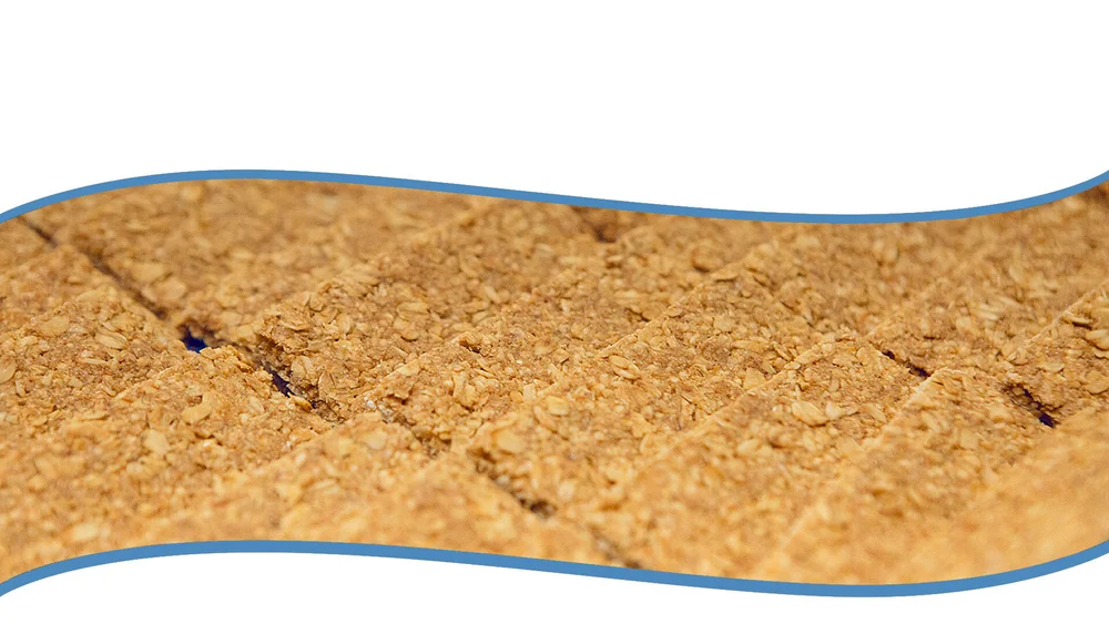 ABOUT — Schulze & Burch Biscuit Co.