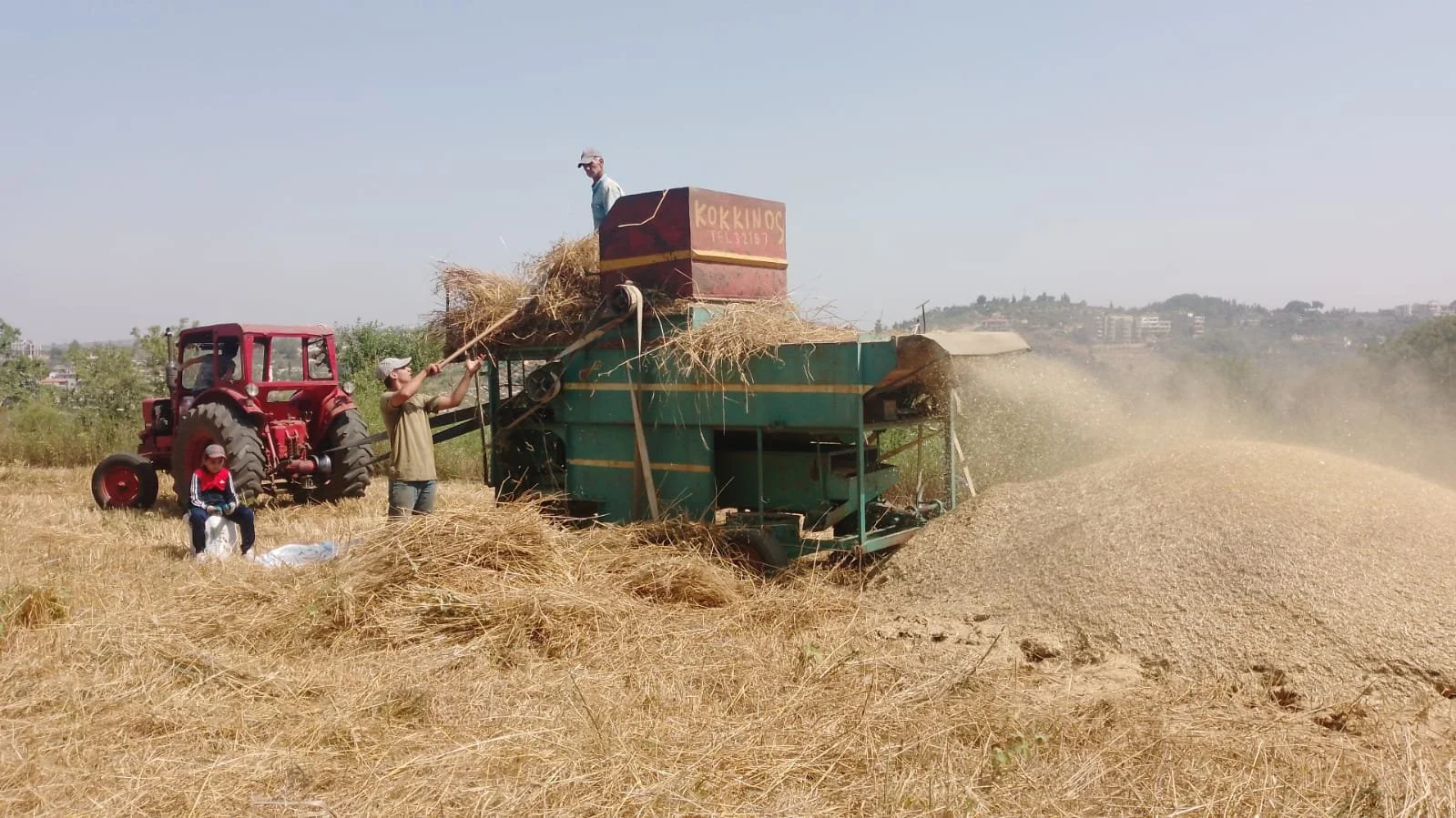 Fruits of Faith: A Thriving Community Farm in Lebanon — Embrace the ...