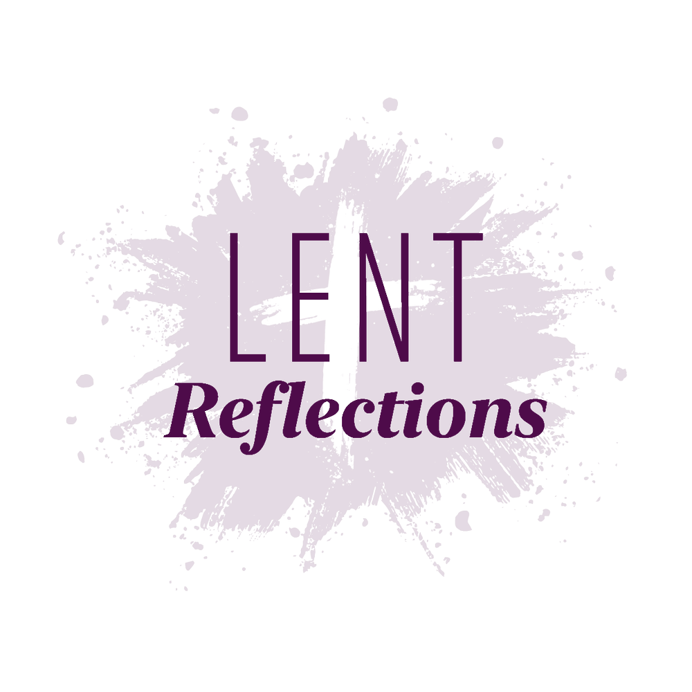 Free Lent reflections, straight to your inbox — Embrace the Middle East