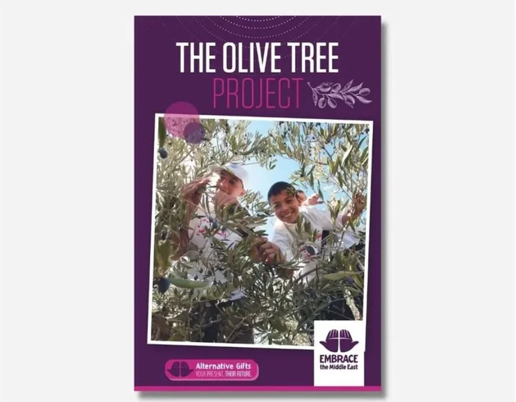 My olive harvest experience: A trip of joy and sadness — Embrace the Middle East