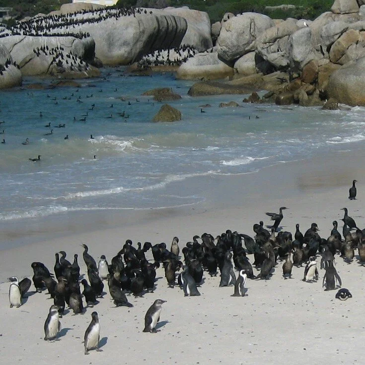 Open Rivers Consulting Associates