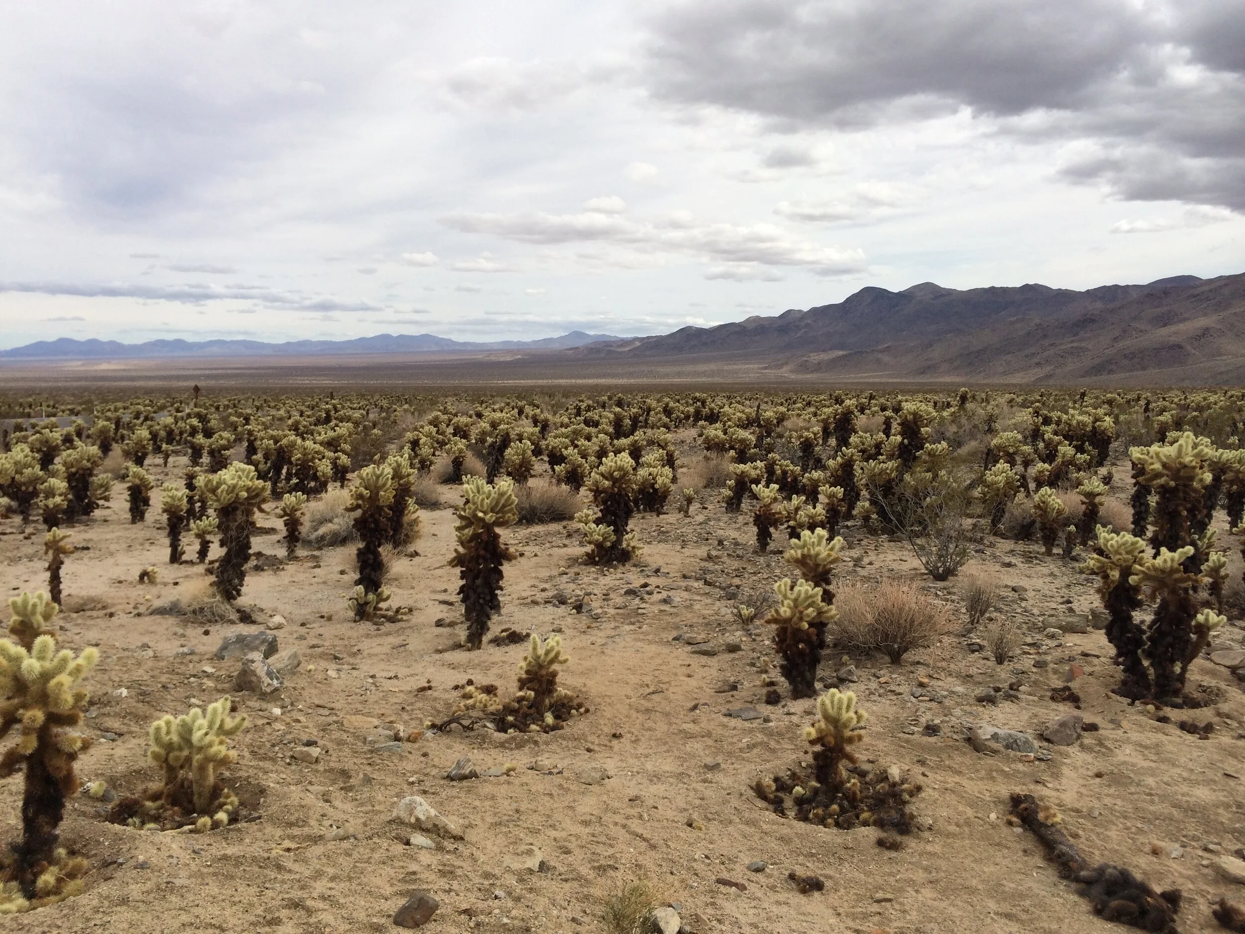 Open Rivers Navigator Season 2 — Open Rivers Consulting Associates