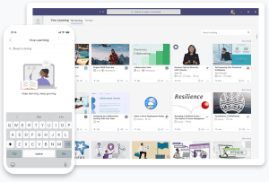 An in-depth guide to Microsoft Viva — Gravity Union